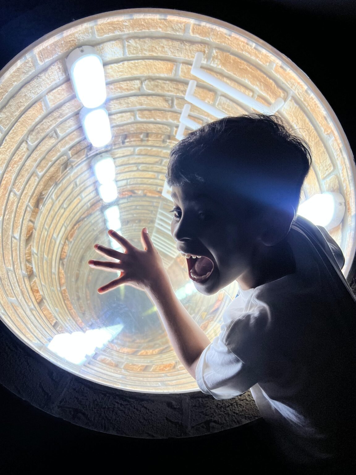 Museu das Ilusões, com o maior acervo de ilusão ótica do mundo, chega ...